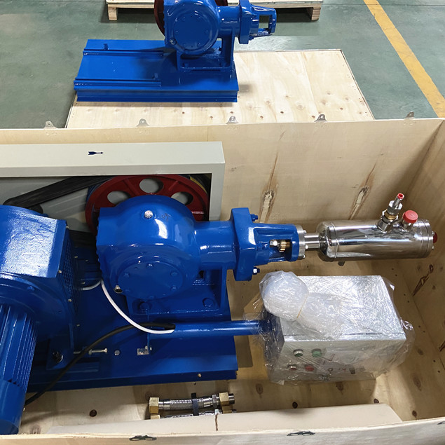 Cryogenic LNG Pump